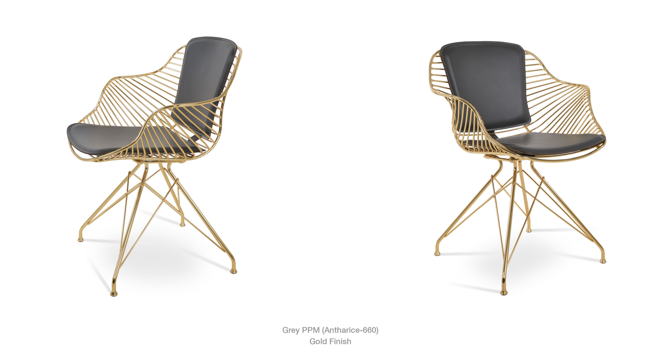 Zebra Arm Chair Gold Polished | Harmony Modern USA